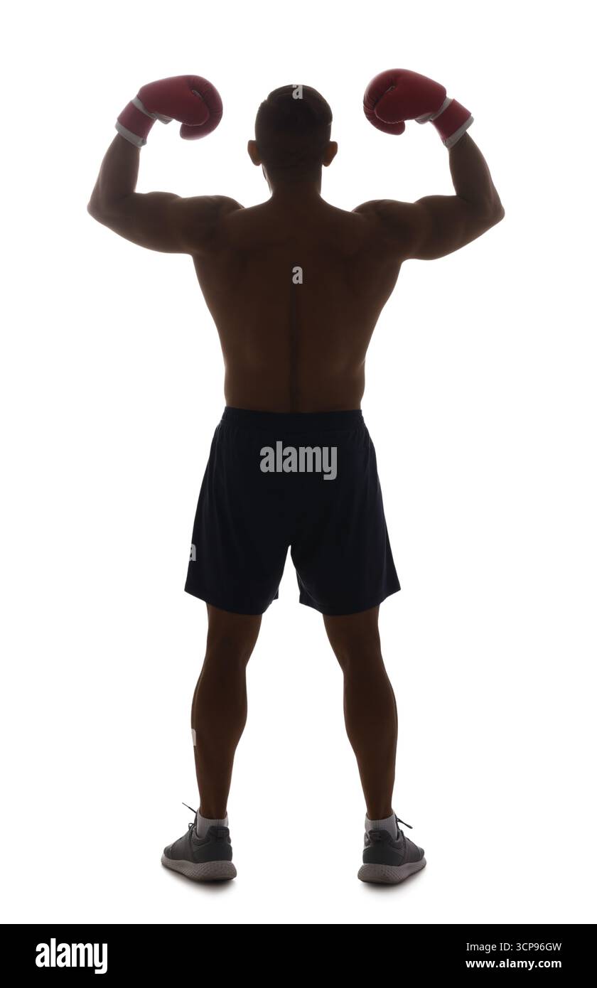 Silhouette of male boxer showing muscles on white background, back view ...