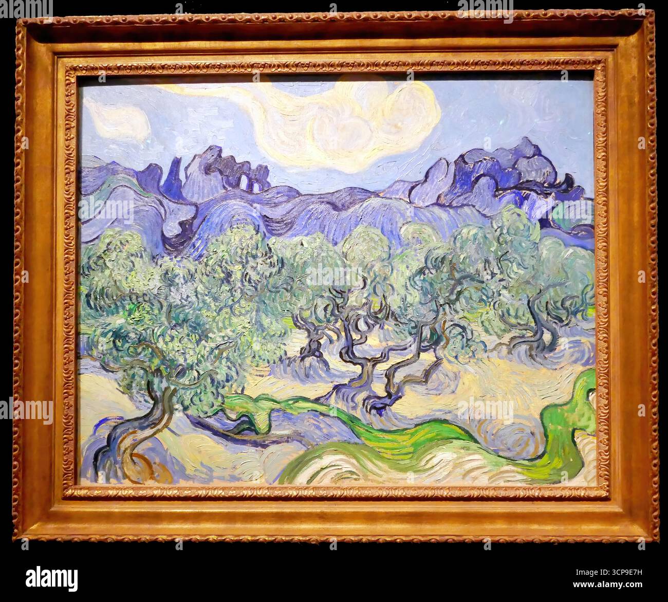 Vincent van Gogh – Les Oliviers, 1889, Post-Impressionist Landscape ...