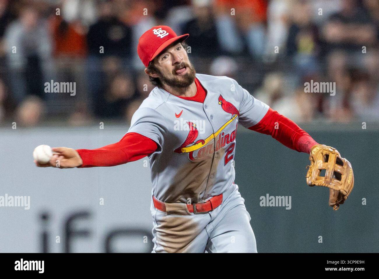 SAN FRANCISCO, CA - SEPTEMBER 24: St. Louis Cardinals second base ...