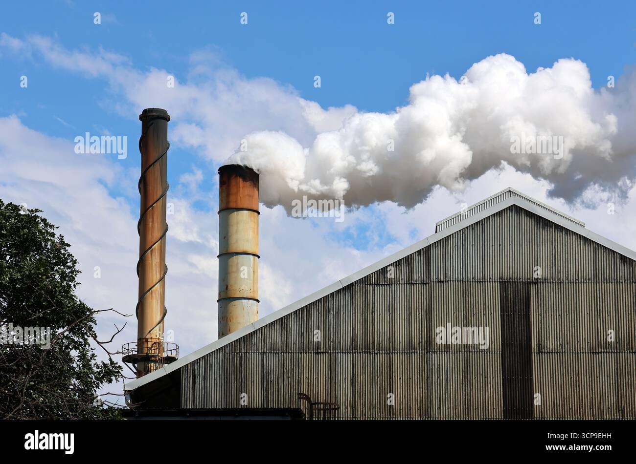 Sugar mill with two tall, weathered chimneys releasing white smoke into ...