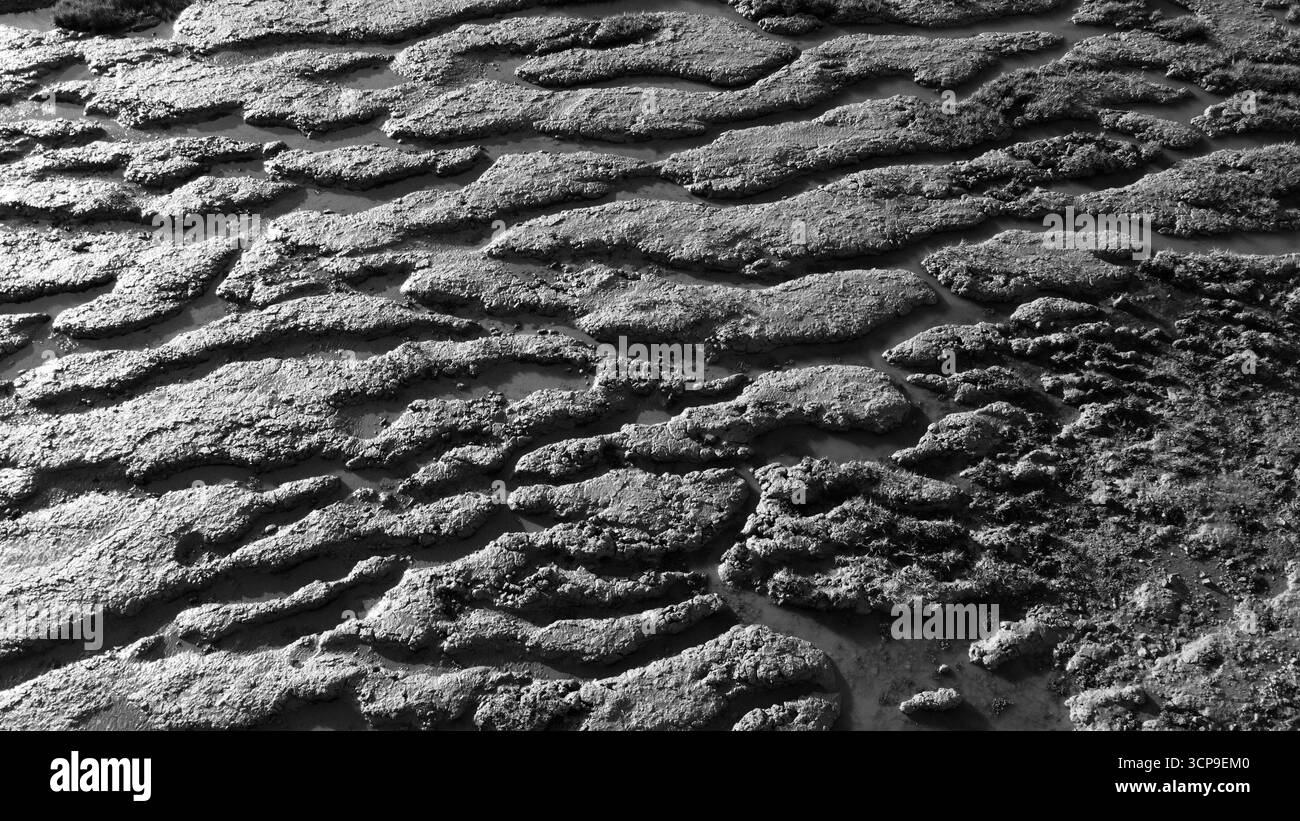 Low tide mud flats Black and White Stock Photos & Images - Alamy