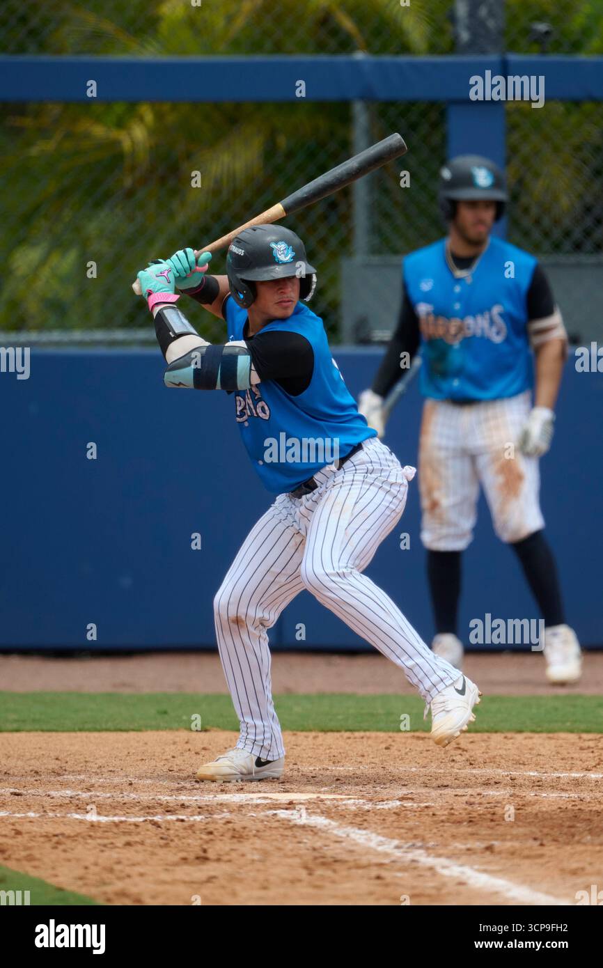 Tampa Tarpons Ediel Rivera (1) bats during an MiLB Florida State League ...