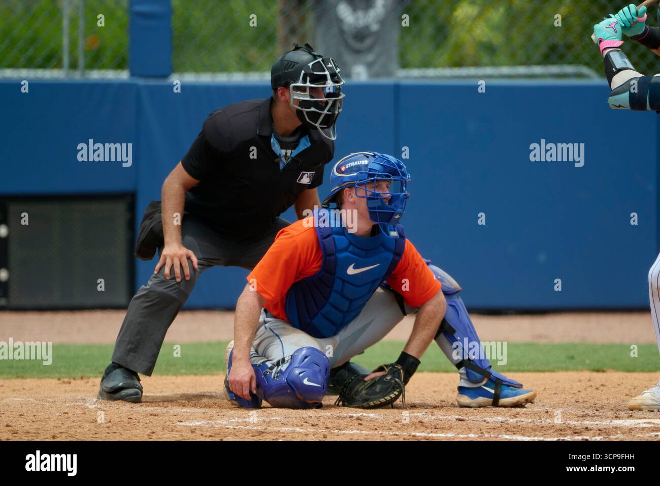 Umpire Alex Reynolds and St. Lucie Mets catcher Chase Meggers (34 ...