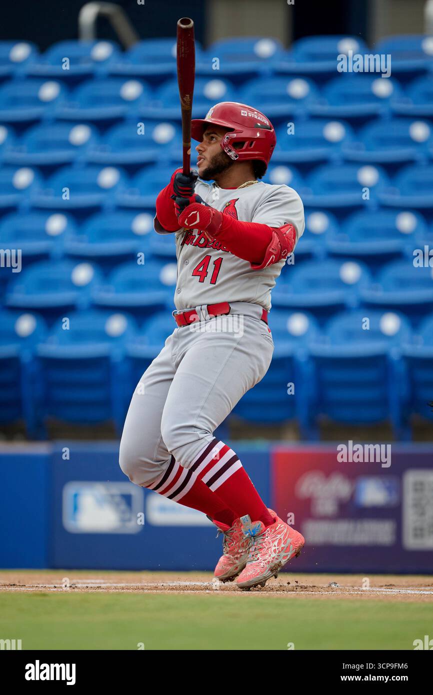 Palm Beach Cardinals Rainiel Rodriguez (41) hits a home run during an MiLB Florida State League ...