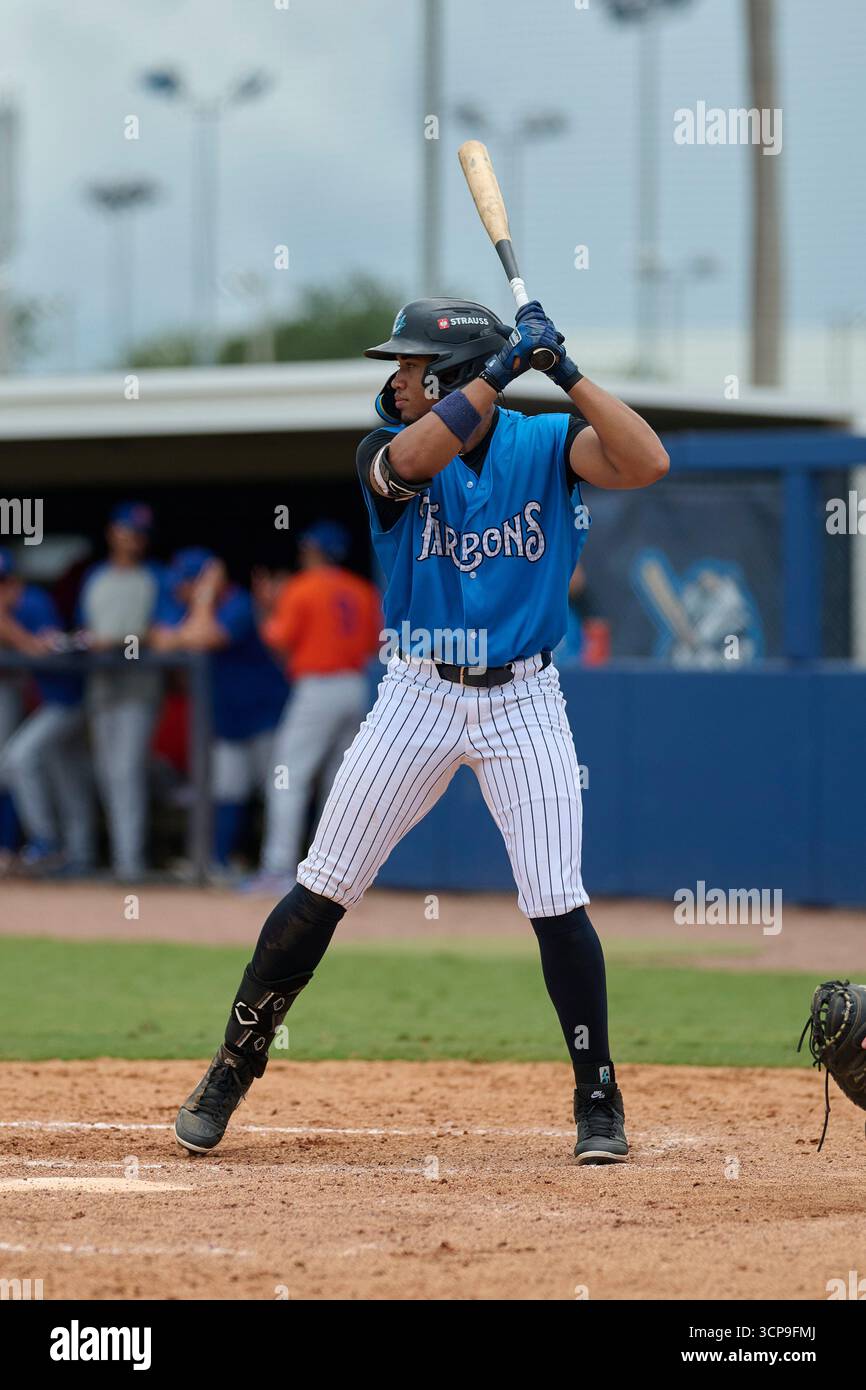 Tampa Tarpons Wilson Rodriguez (41) bats during an MiLB Florida State ...