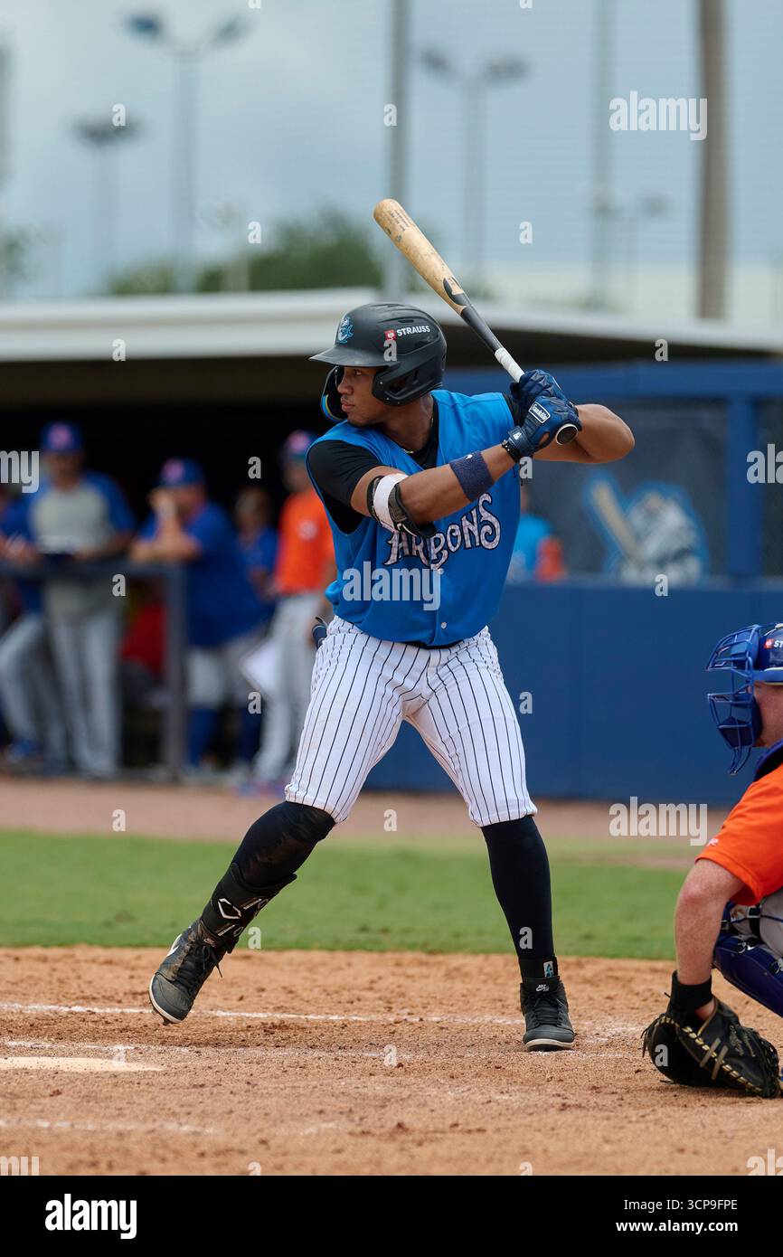 Tampa Tarpons Wilson Rodriguez (41) bats during an MiLB Florida State ...