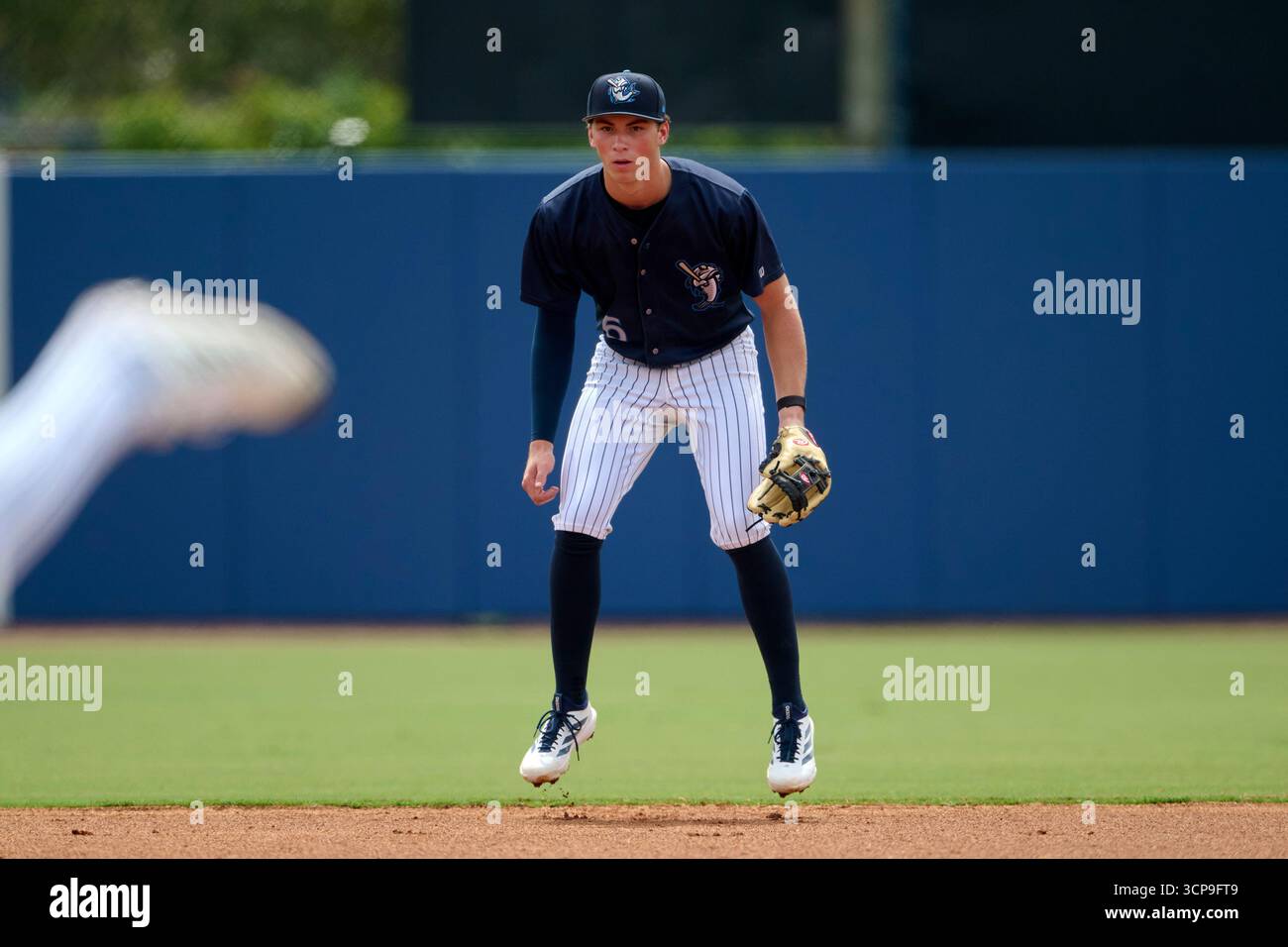 Tampa Tarpons shortstop Dax Kilby (6) during an MiLB Florida State ...