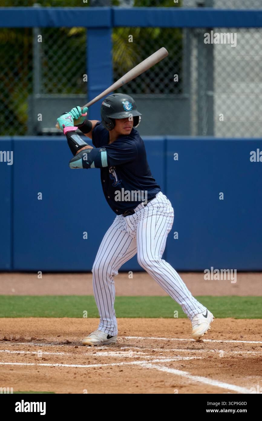 Tampa Tarpons Ediel Rivera (1) bats during an MiLB Florida State League ...