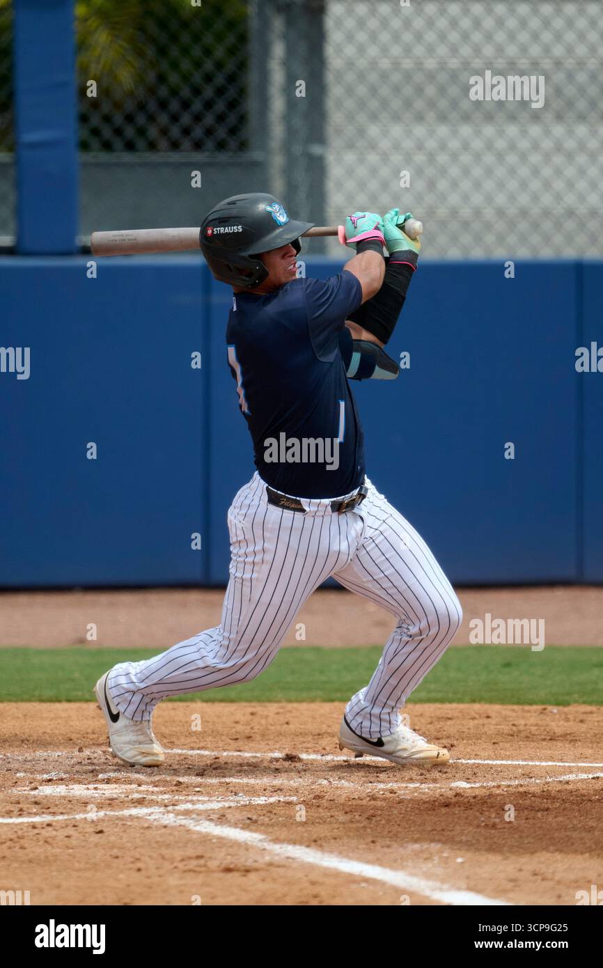 Tampa Tarpons Ediel Rivera (1) bats during an MiLB Florida State League ...
