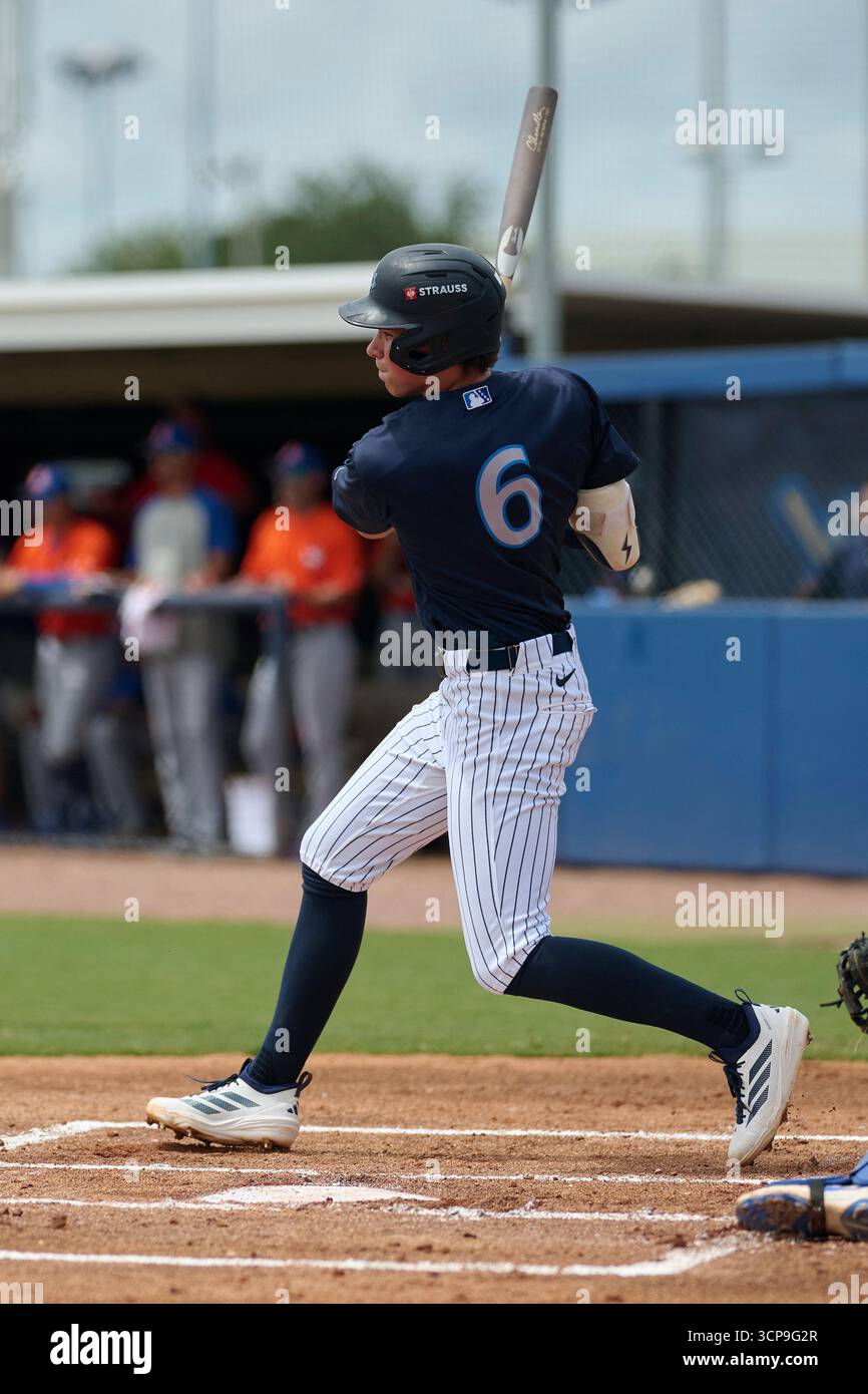 Tampa Tarpons Dax Kilby (6) bats during an MiLB Florida State League ...