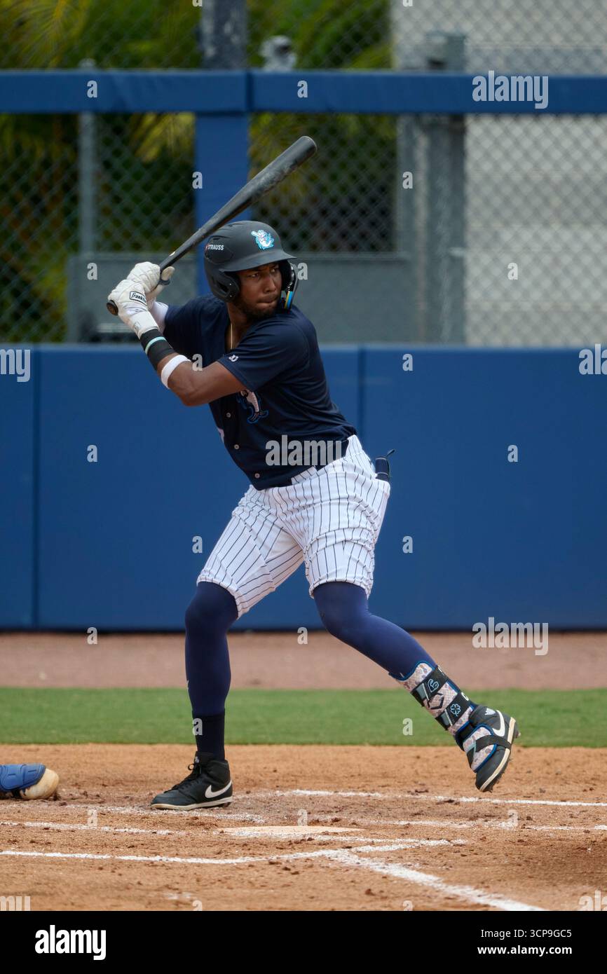Tampa Tarpons Willy Montero (37) bats during an MiLB Florida State ...