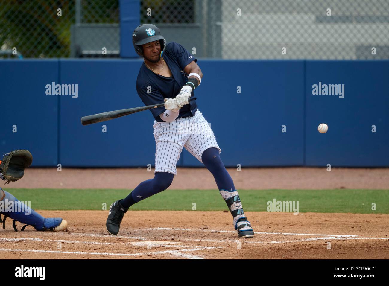 Tampa Tarpons Willy Montero (37) bats during an MiLB Florida State ...