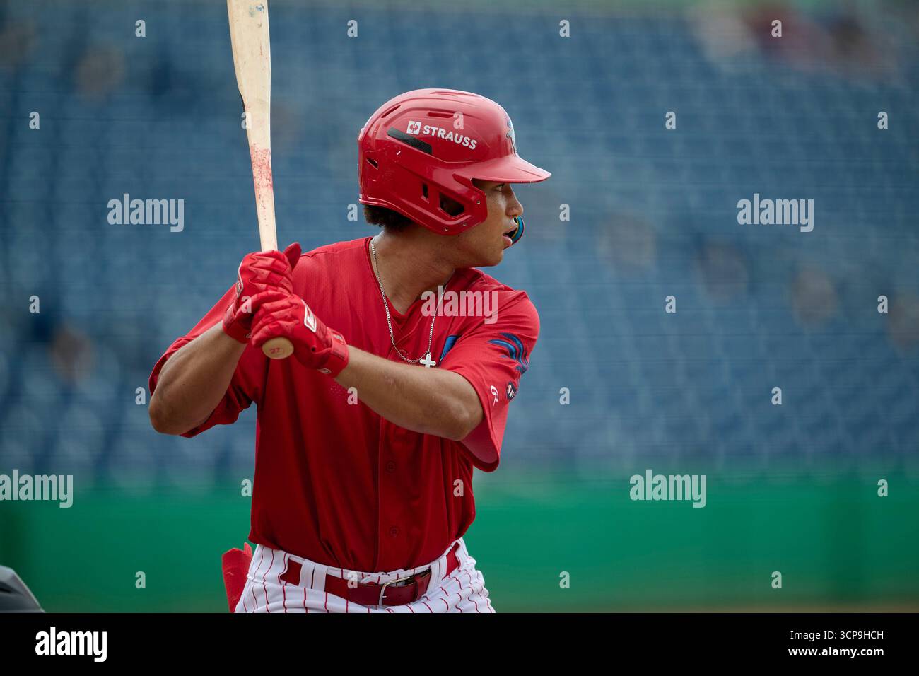 Clearwater Threshers Robert Phelps (27) bats during an MiLB Florida ...