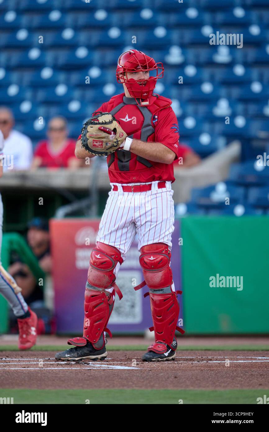 Clearwater Threshers catcher Will Vierling (10) during an MiLB Florida ...