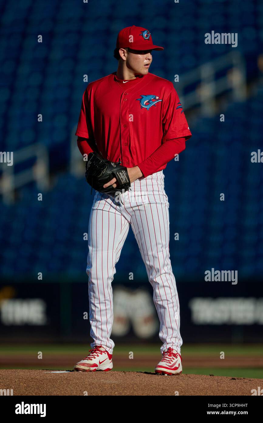 Clearwater Threshers pitcher Ramon Marquez (6) during an MiLB Florida ...