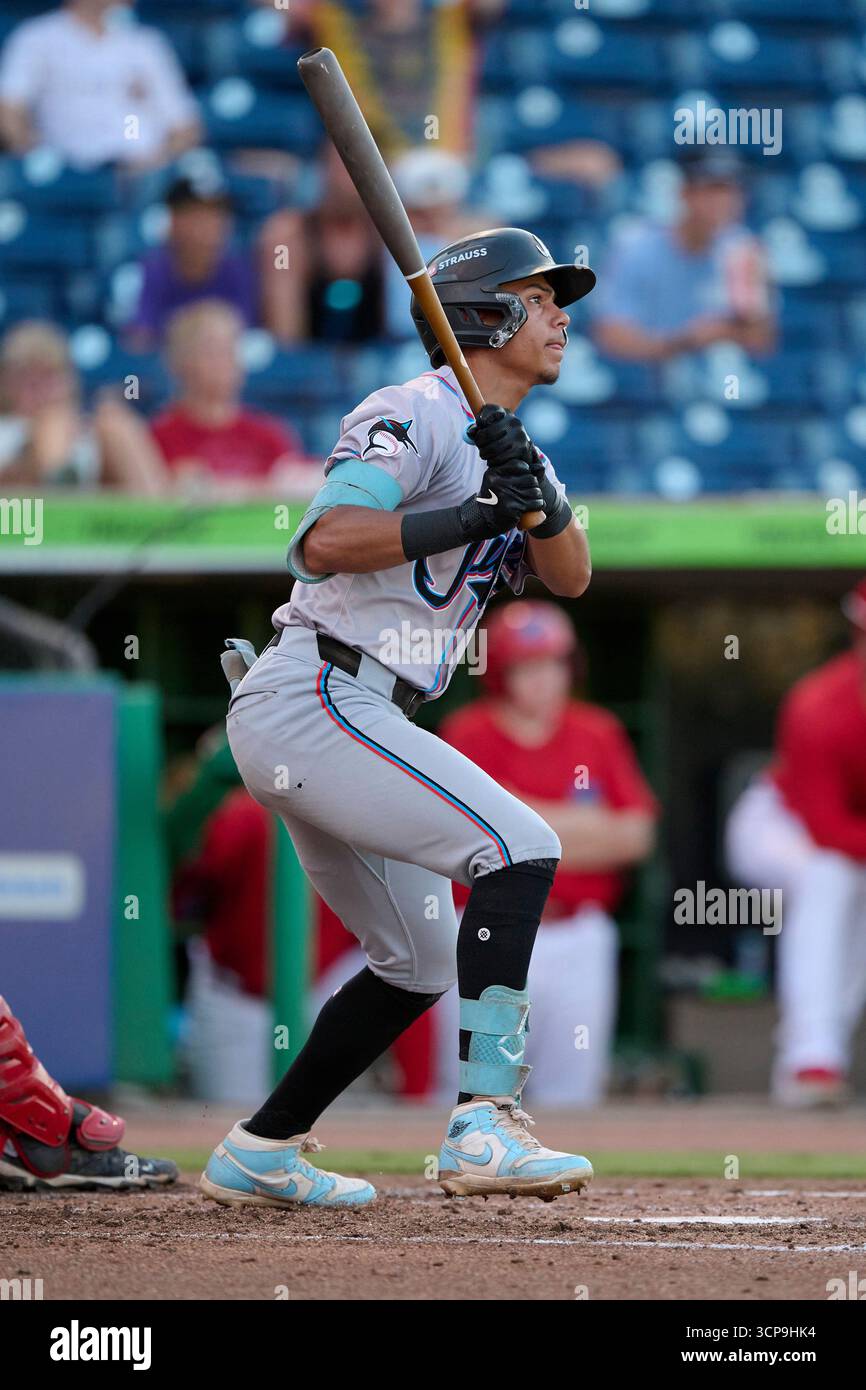 Jupiter Hammerheads Andrew Salas (3) bats during an MiLB Florida State ...