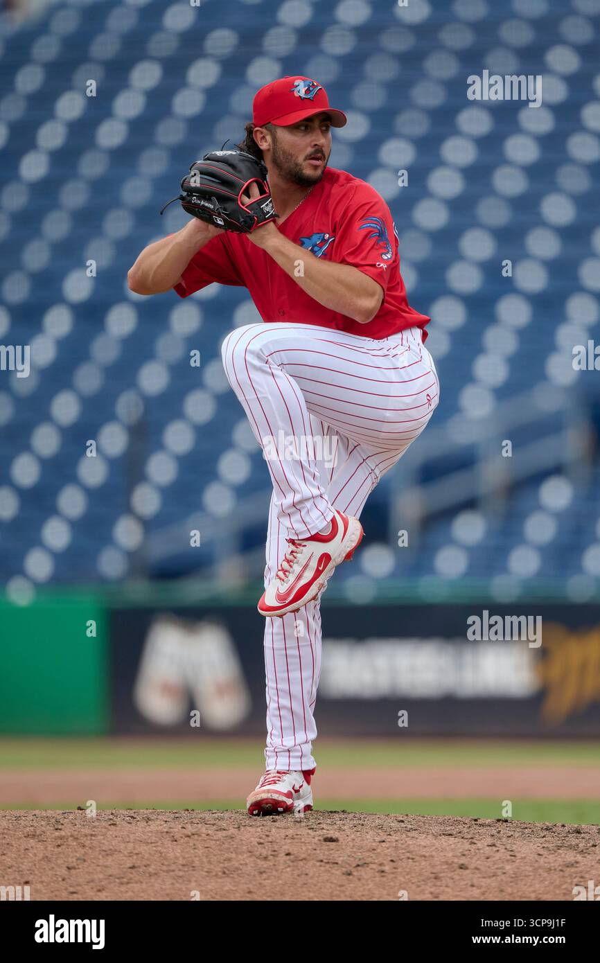 Clearwater Threshers pitcher Orlando Gonzalez (48) during an MiLB ...