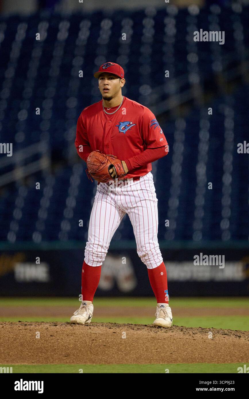 Clearwater Threshers pitcher Danyony Pulido (31) during an MiLB Florida ...
