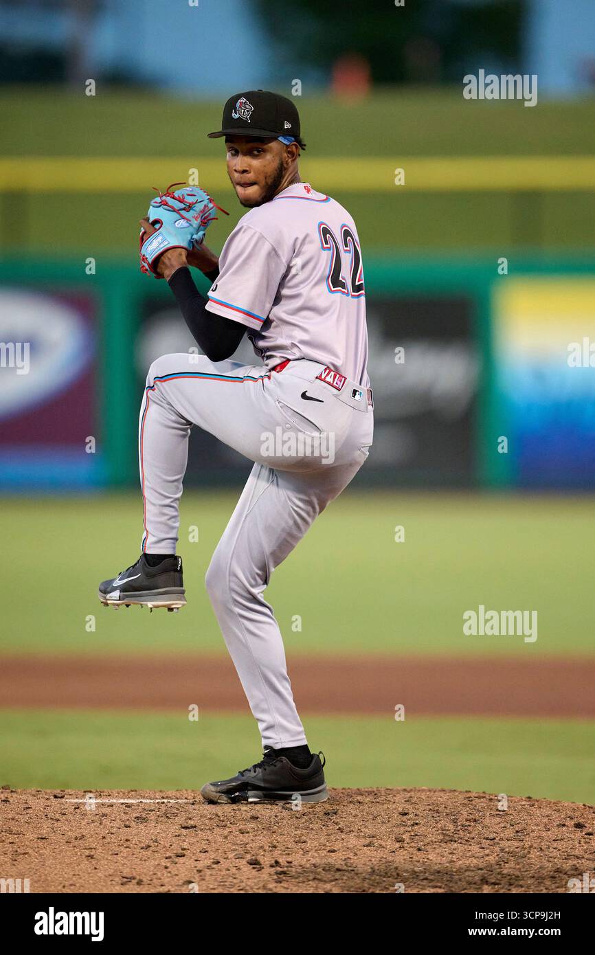 Jupiter Hammerheads pitcher Walin Castillo (22) during an MiLB Florida ...