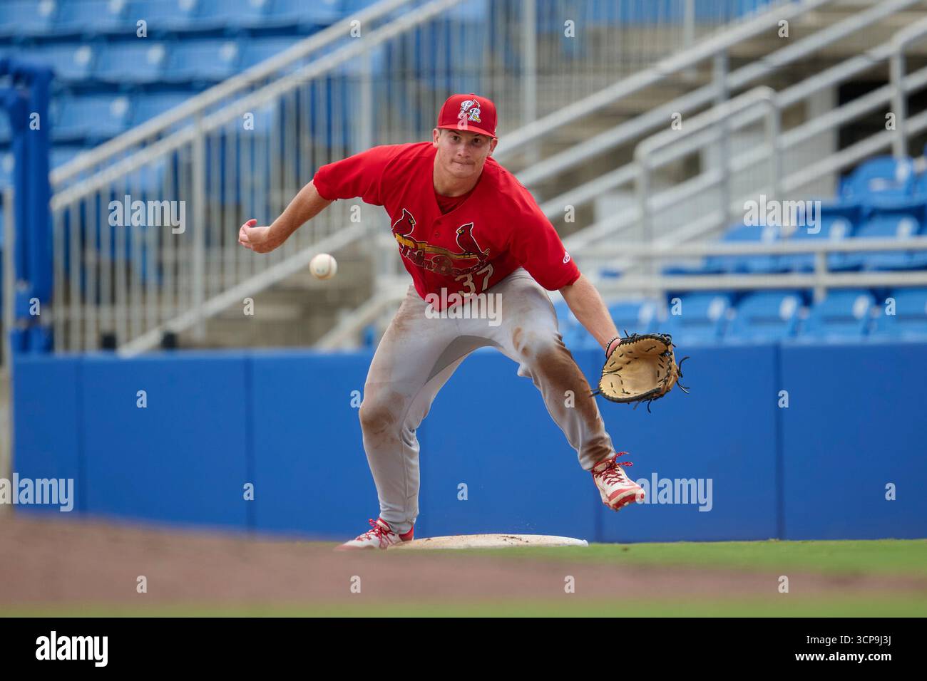 Palm Beach Cardinals first baseman Jack Gurevitch (37) stretches for a ...