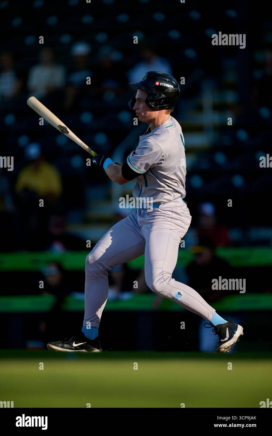Daytona Tortugas Tyson Lewis (1) bats during an MiLB Florida State ...