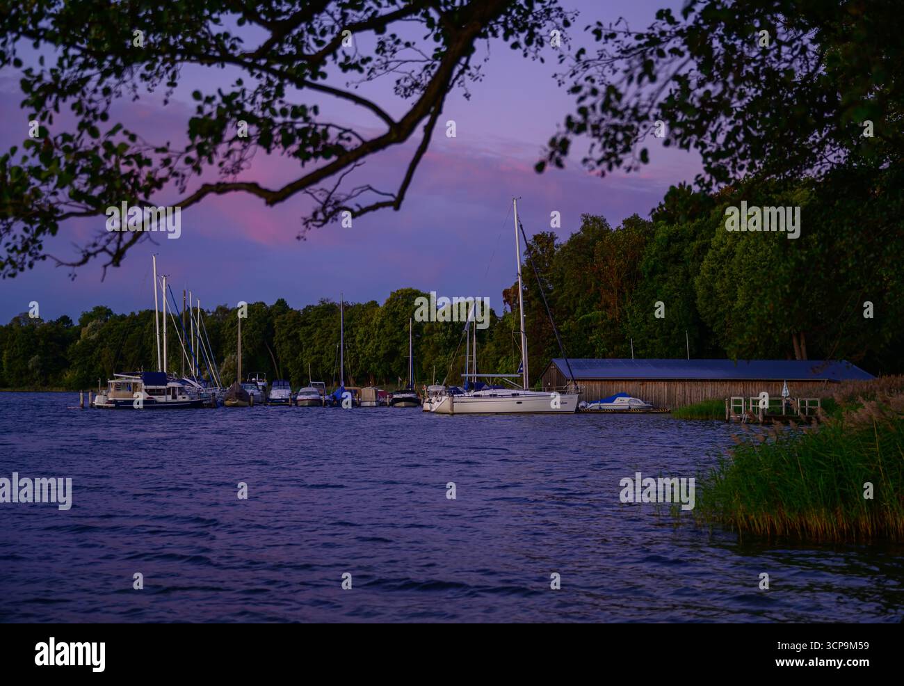 Wendisch Rietz, Germany. 25th Sep, 2025. Shortly before sunrise, the ...
