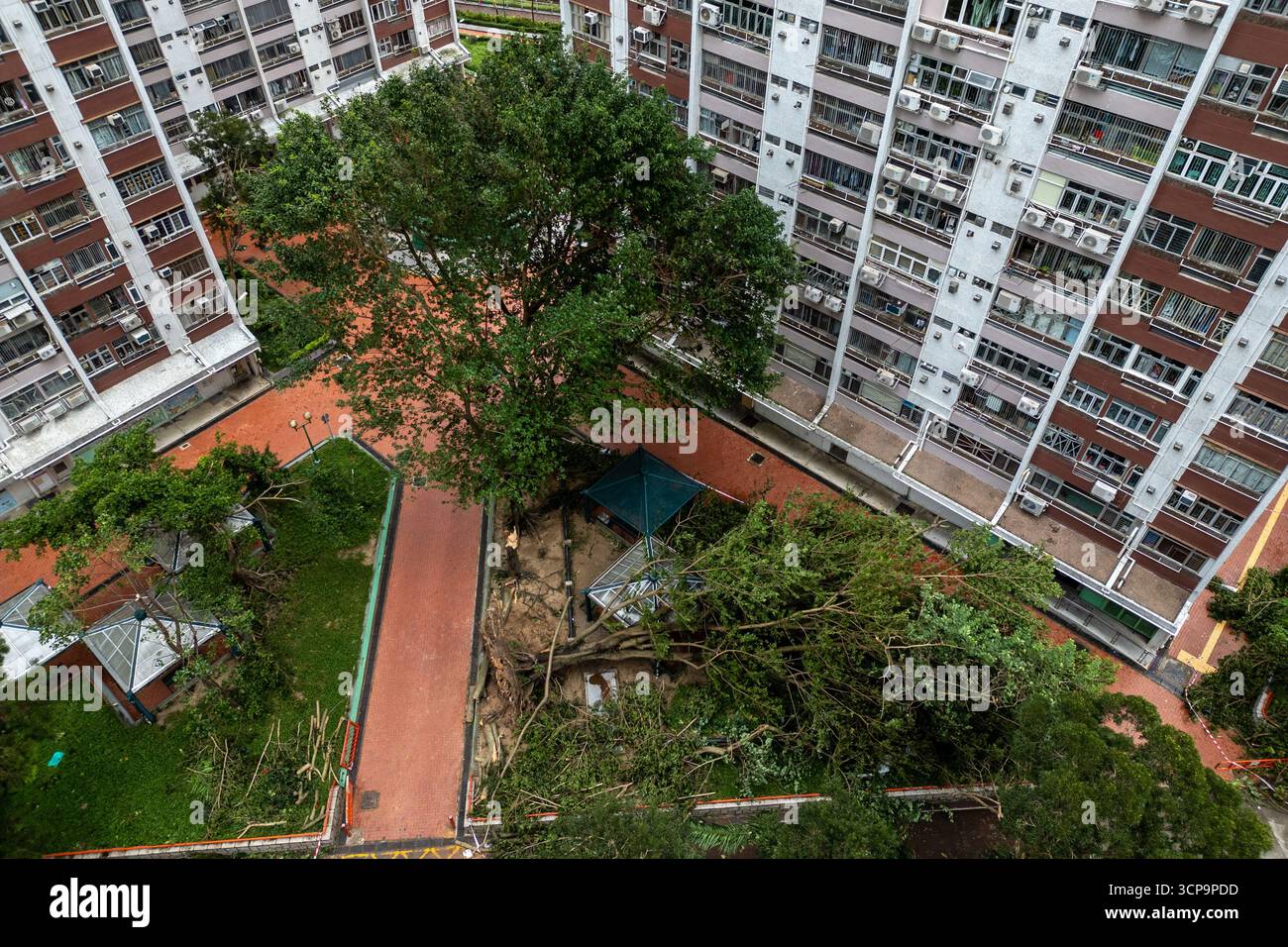 An aerial photograph showing a fallen tree at a public housing estate ...