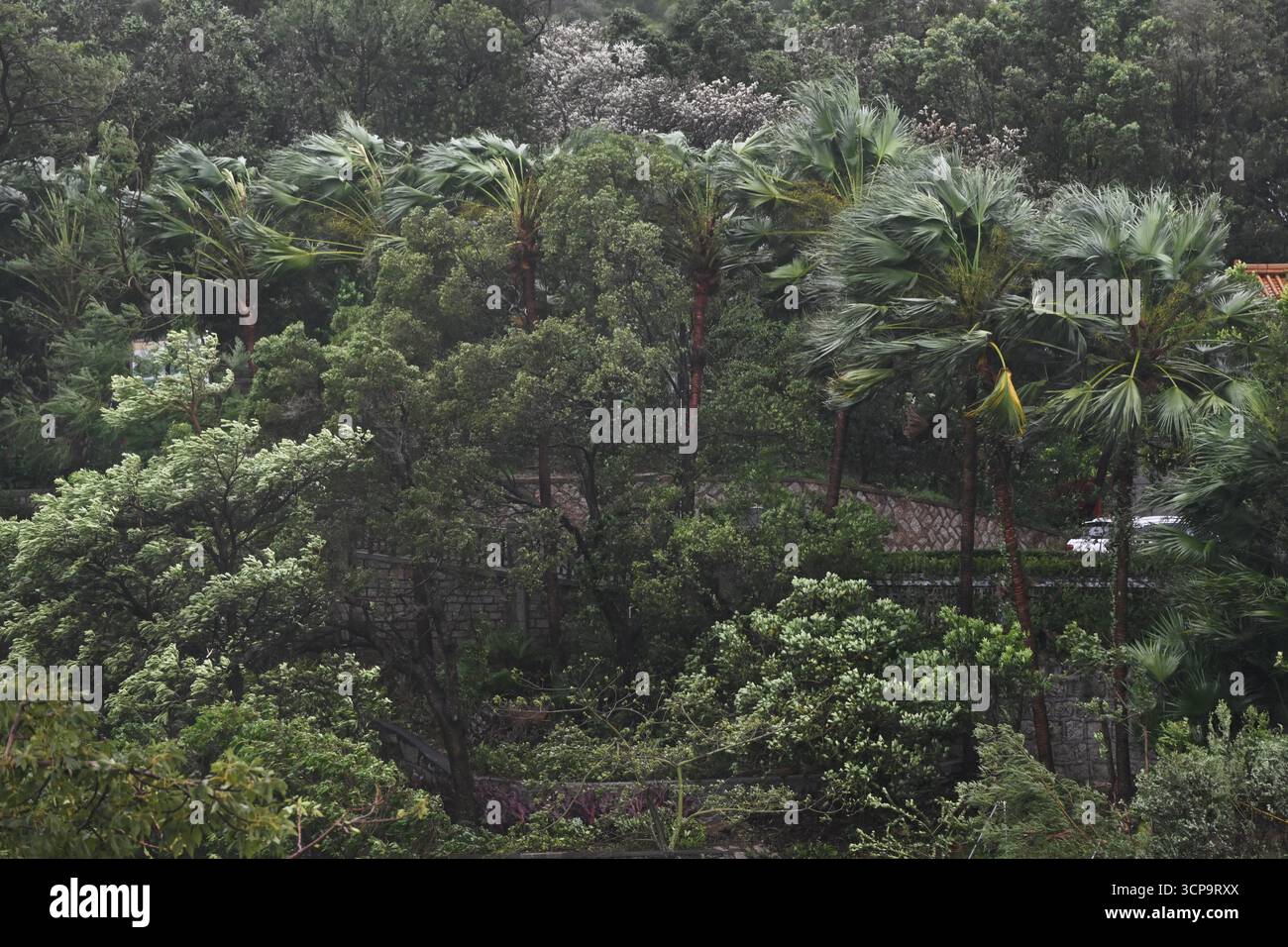 **CHINESE MAINLAND, HONG KONG, MACAU AND TAIWAN OUT** Super typhoon ...