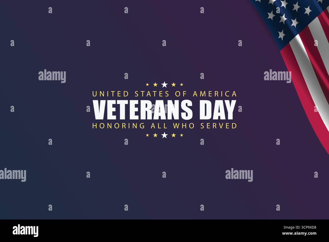 Remembering the Brave Veterans Day Celebrations Across the Nation Stock ...