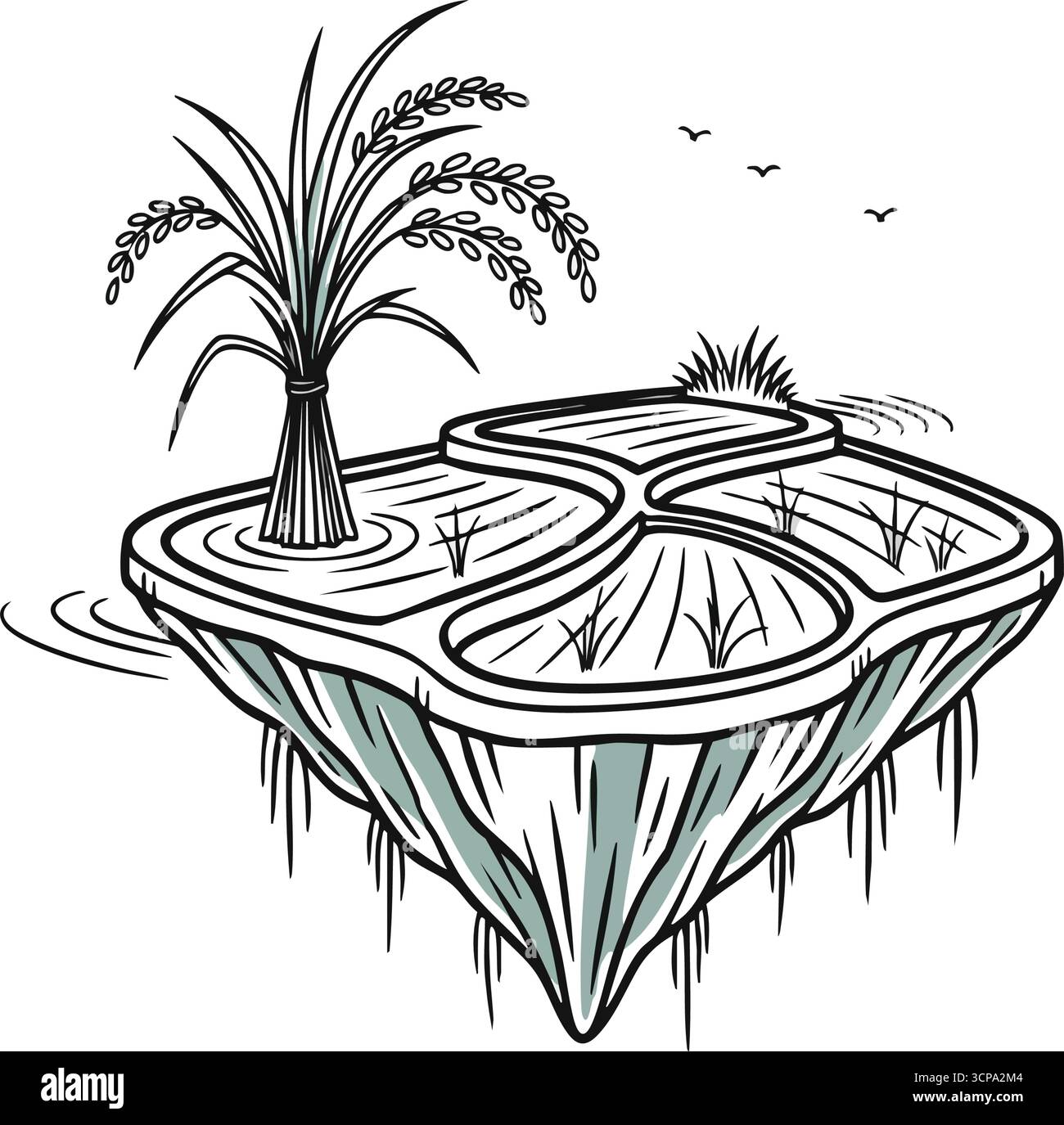 Rice paddy terrain Cut Out Stock Images & Pictures - Alamy