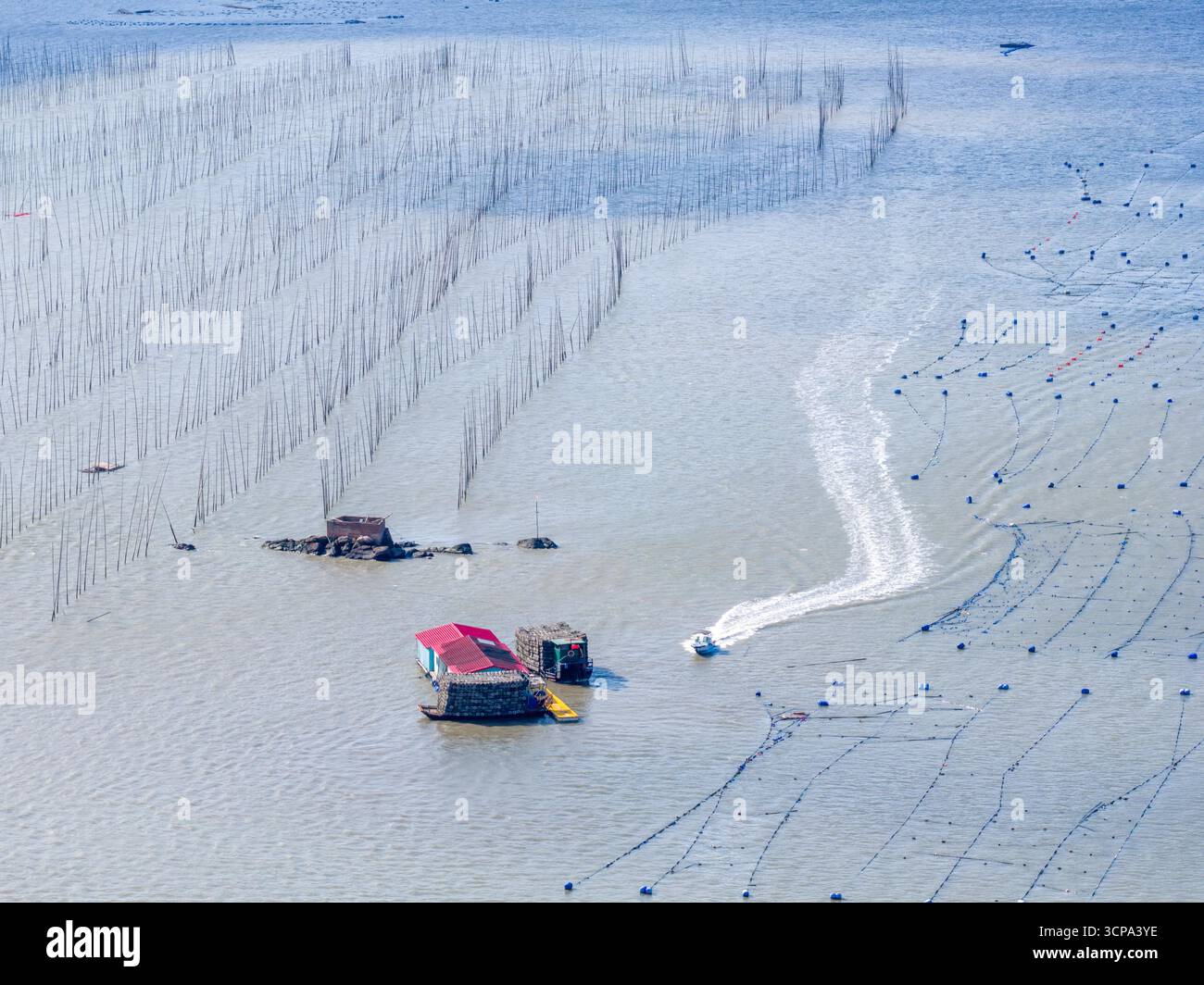 Aerial photo shows the "marine granary" in Ningde City, southeast China ...