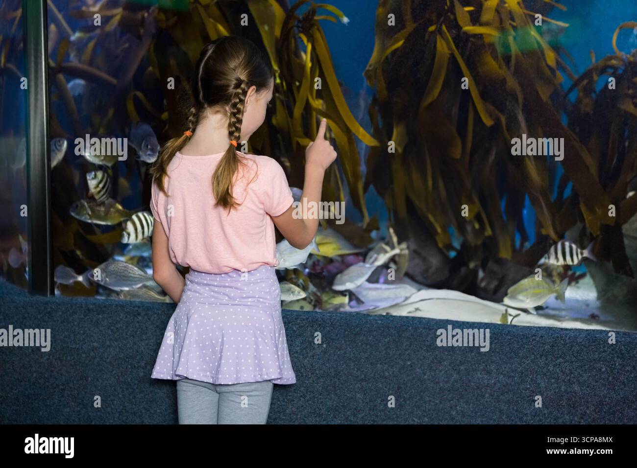 Female child pointing at tank in aquarium hall with padded barrier ...