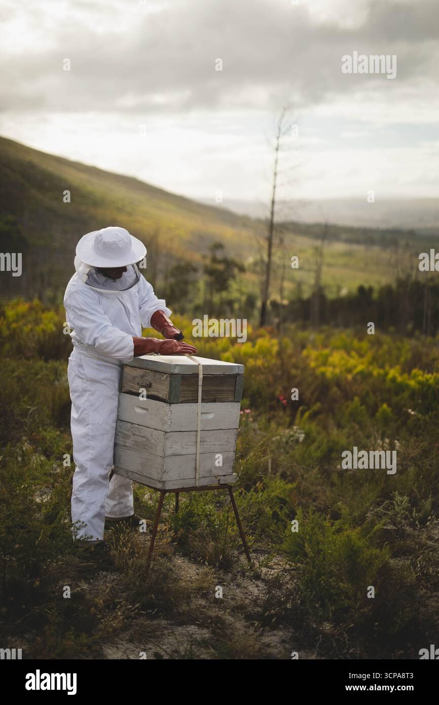 Standing beekeeper wearing white hi-res stock photography and images ...