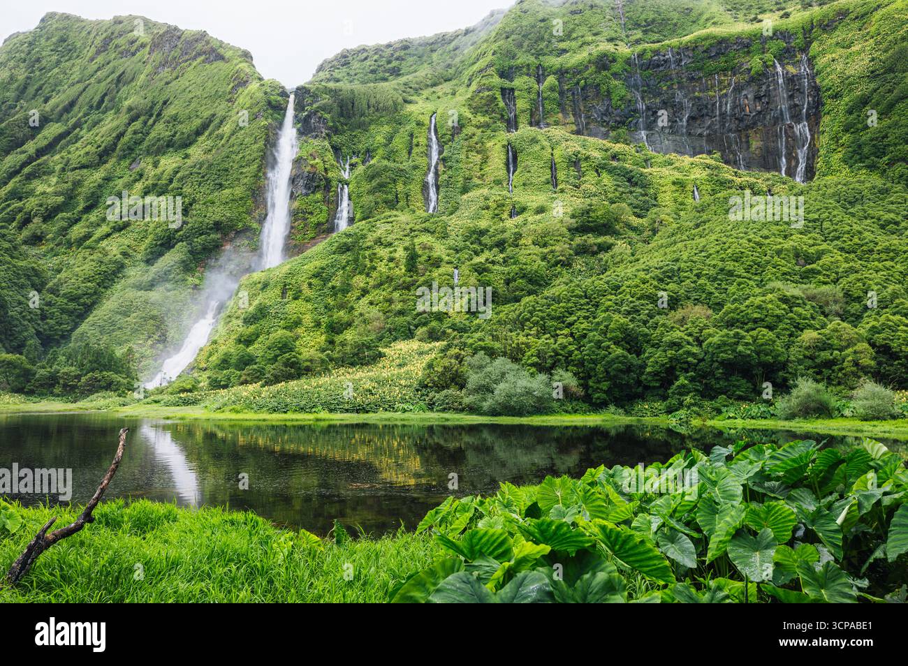 Lush green mountain with multiple waterfalls. Flores, Azores Stock ...