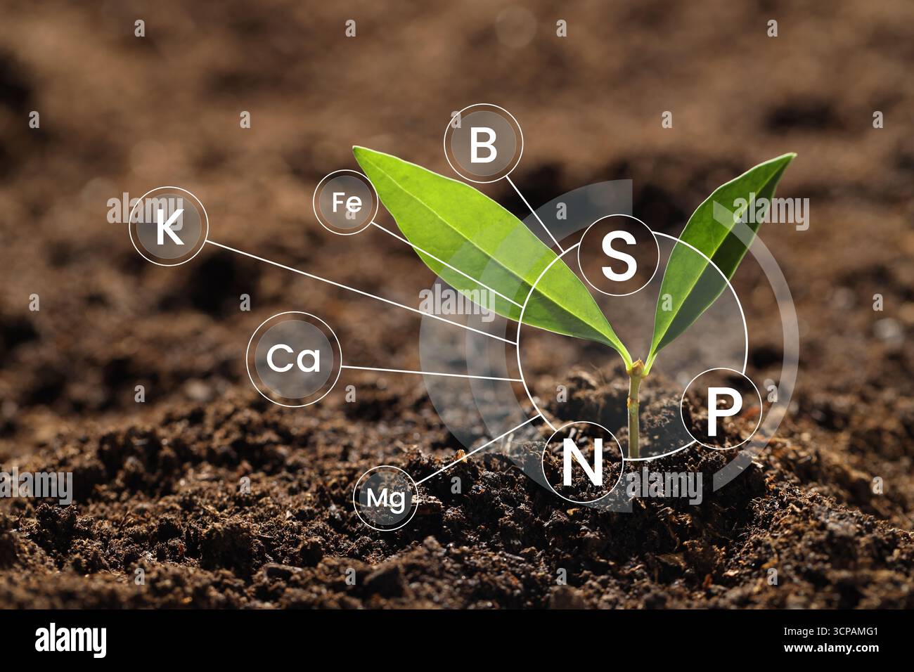 Soil analysis in agriculture hi-res stock photography and images - Alamy