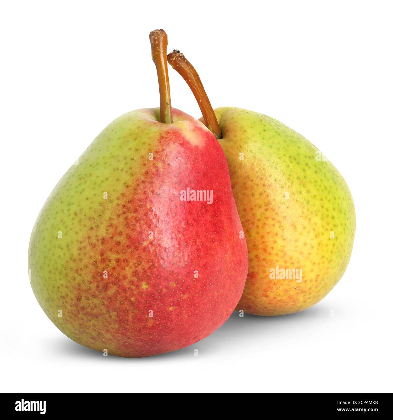Two fresh sweet pears isolated on white Stock Photo - Alamy