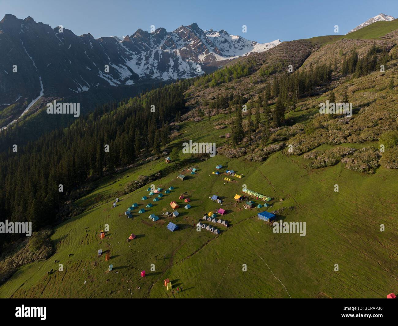 Aerial view of tents nestled amidst the lush green landscape against ...