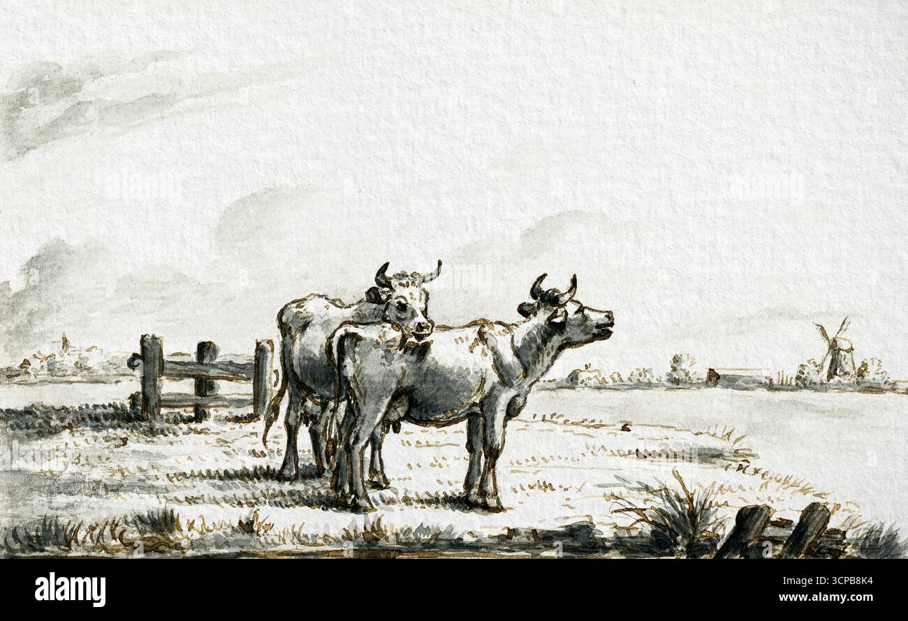 Two cows in pasture illustration hi-res stock photography and images ...