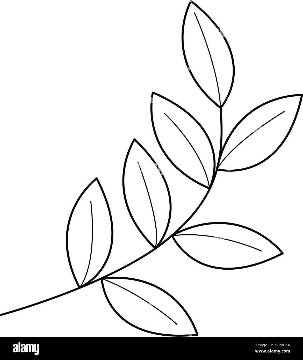 Tree twig with leaves, hand drawn clip art illustration. Curved branch ...