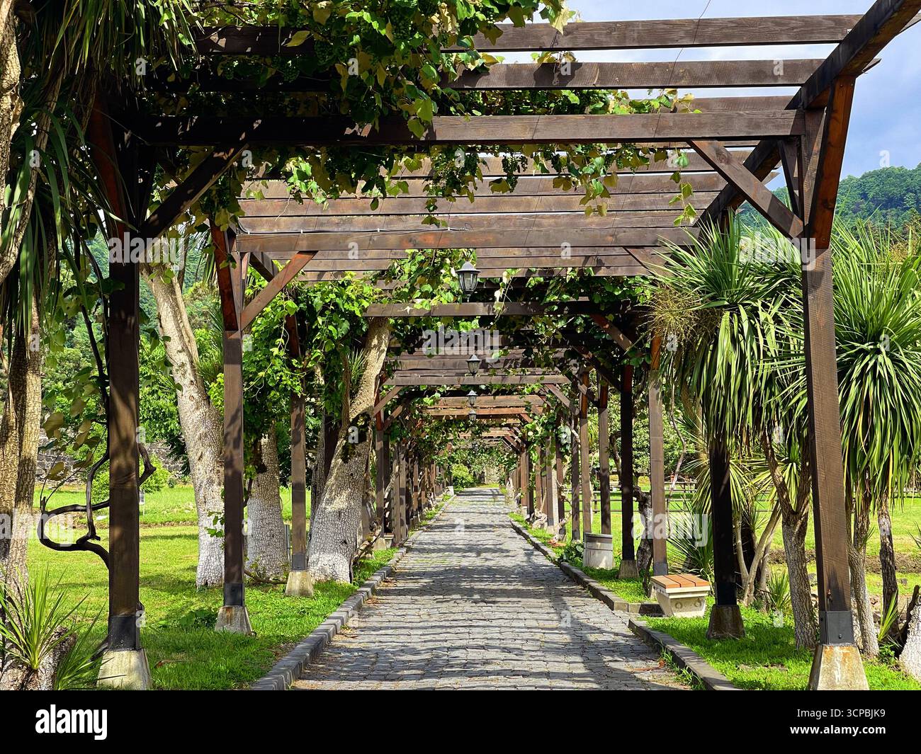 Ancient cobbled roman road hi-res stock photography and images - Alamy