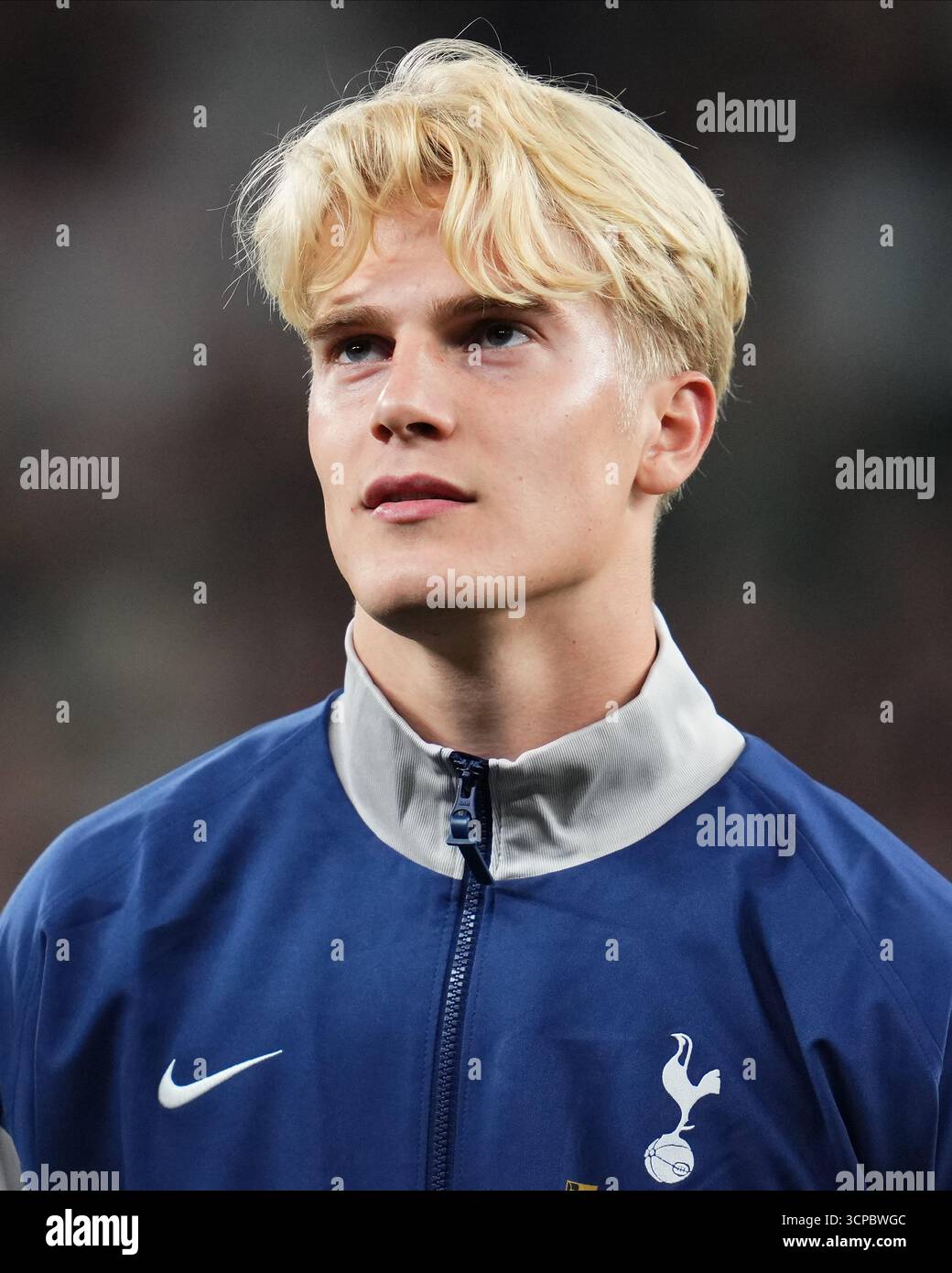 Lucas Bergvall of Tottenham Hotspur during the UEFA Champions League ...