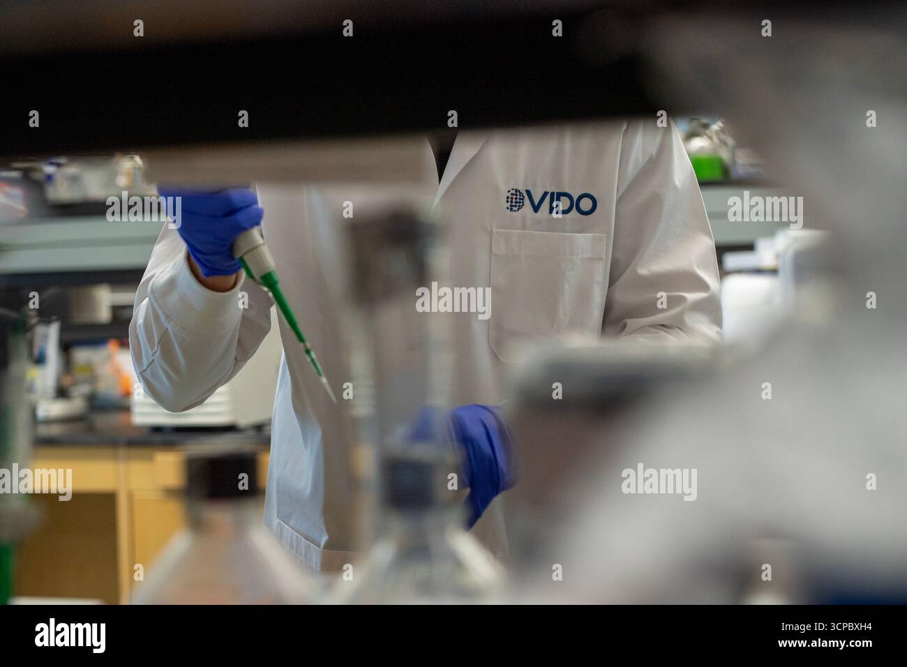 Vaccine and Infectious Disease Organization (VIDO) researchers ...