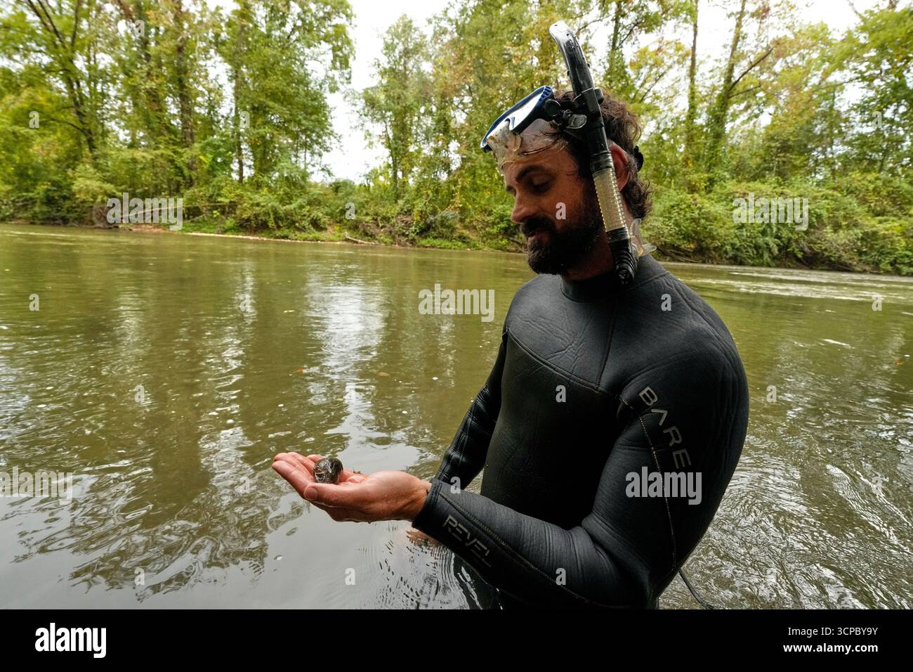 Michael Perkins, an aquatic wildlife biologist, holds a brook floater ...