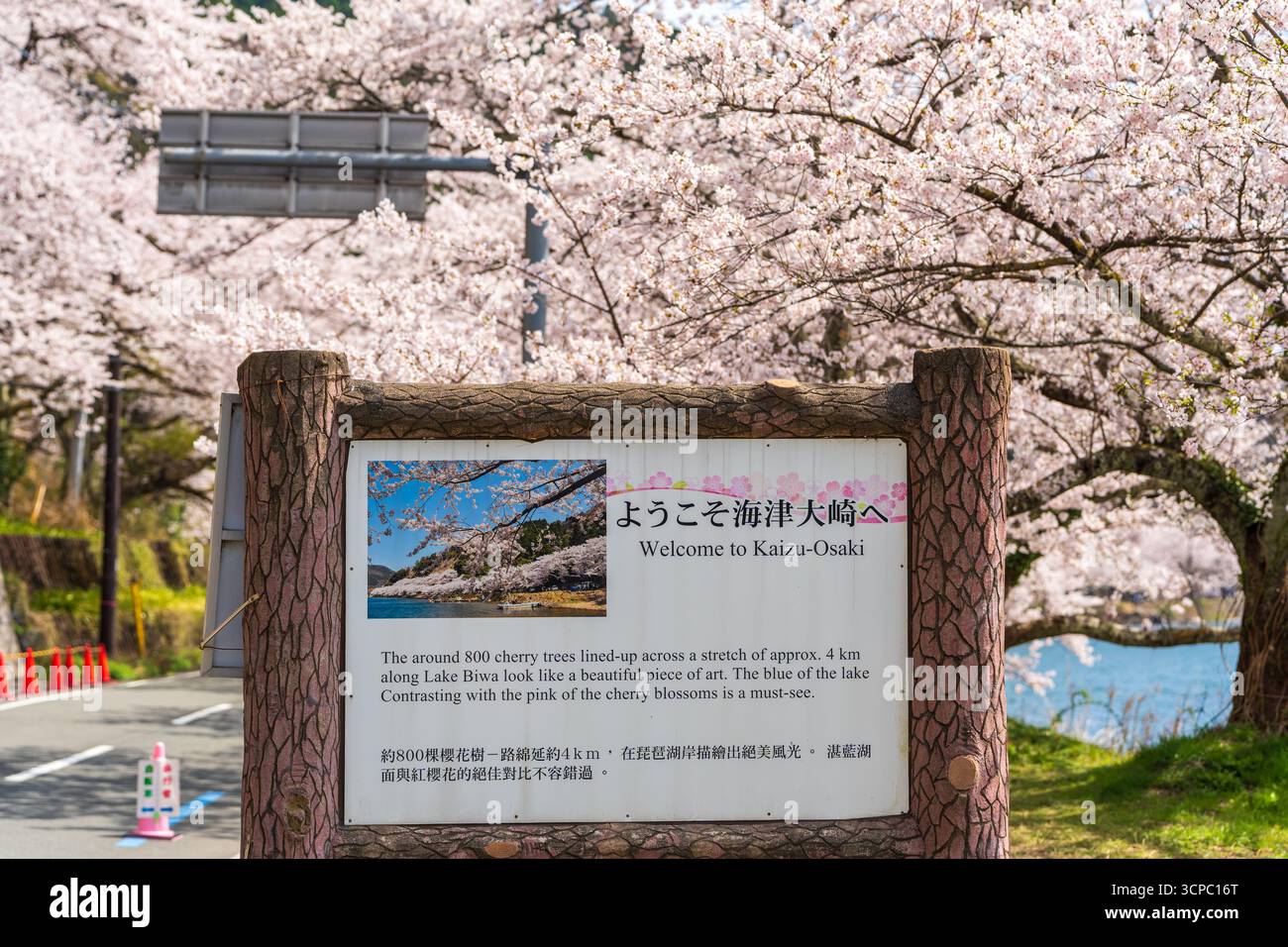 Kaizu Osaki cherry blossom signs, wooden boards, information panels ...