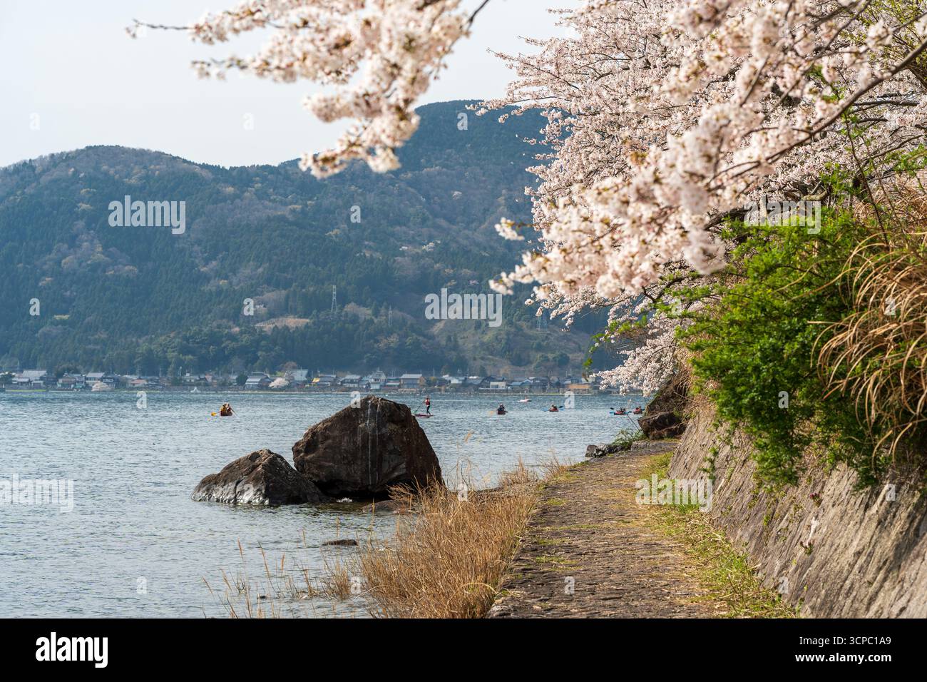 Scenic walking path along the rocky shore of Lake Biwa at Kaizu Osaki ...
