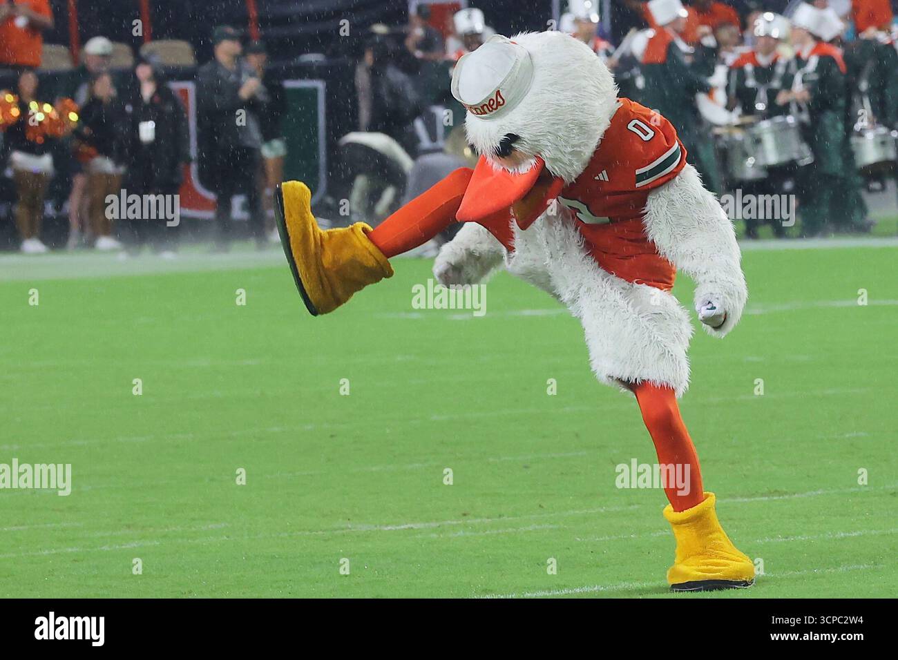 Miami Hurricanes mascot Sebastian the Ibis fires up the crowd at Hard ...