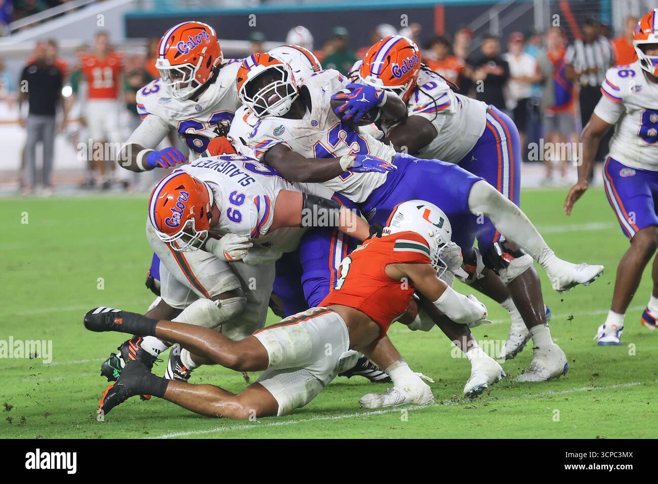 Jadan baugh florida hi-res stock photography and images - Alamy