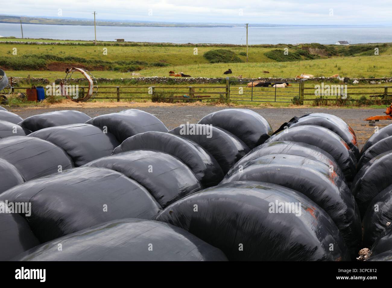 Wrapped fodder ireland hi-res stock photography and images - Alamy