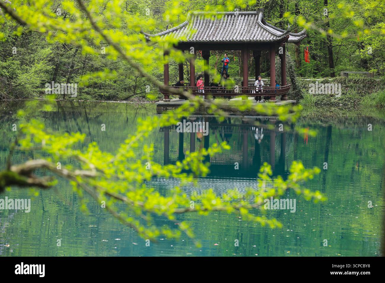 (250925) -- HANGZHOU, Sept. 25, 2025 (Xinhua) -- Tourists visit Tianmu ...