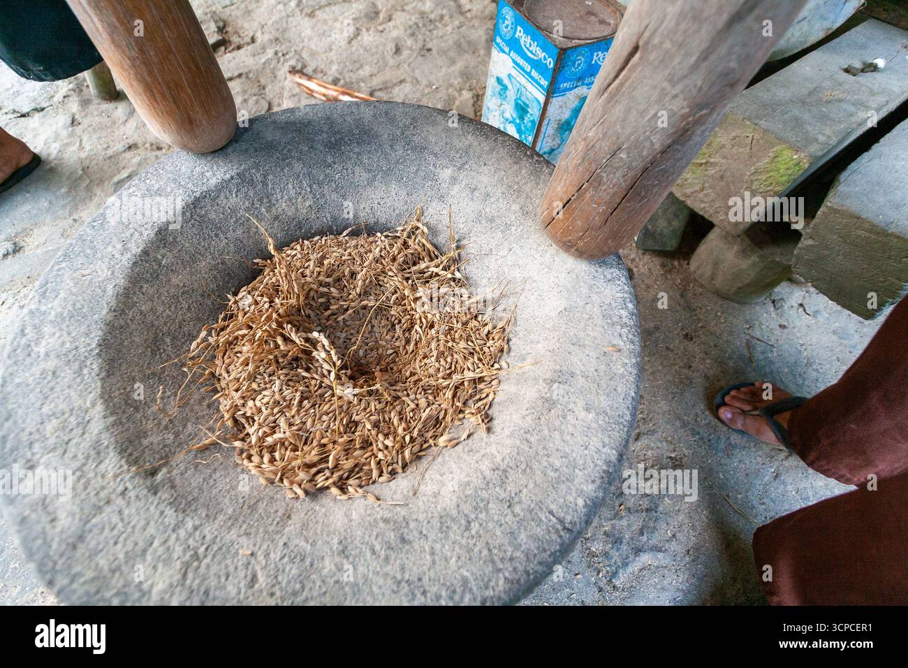 Tinawon heirloom rice, a highland rice variety, prepared for selling in ...